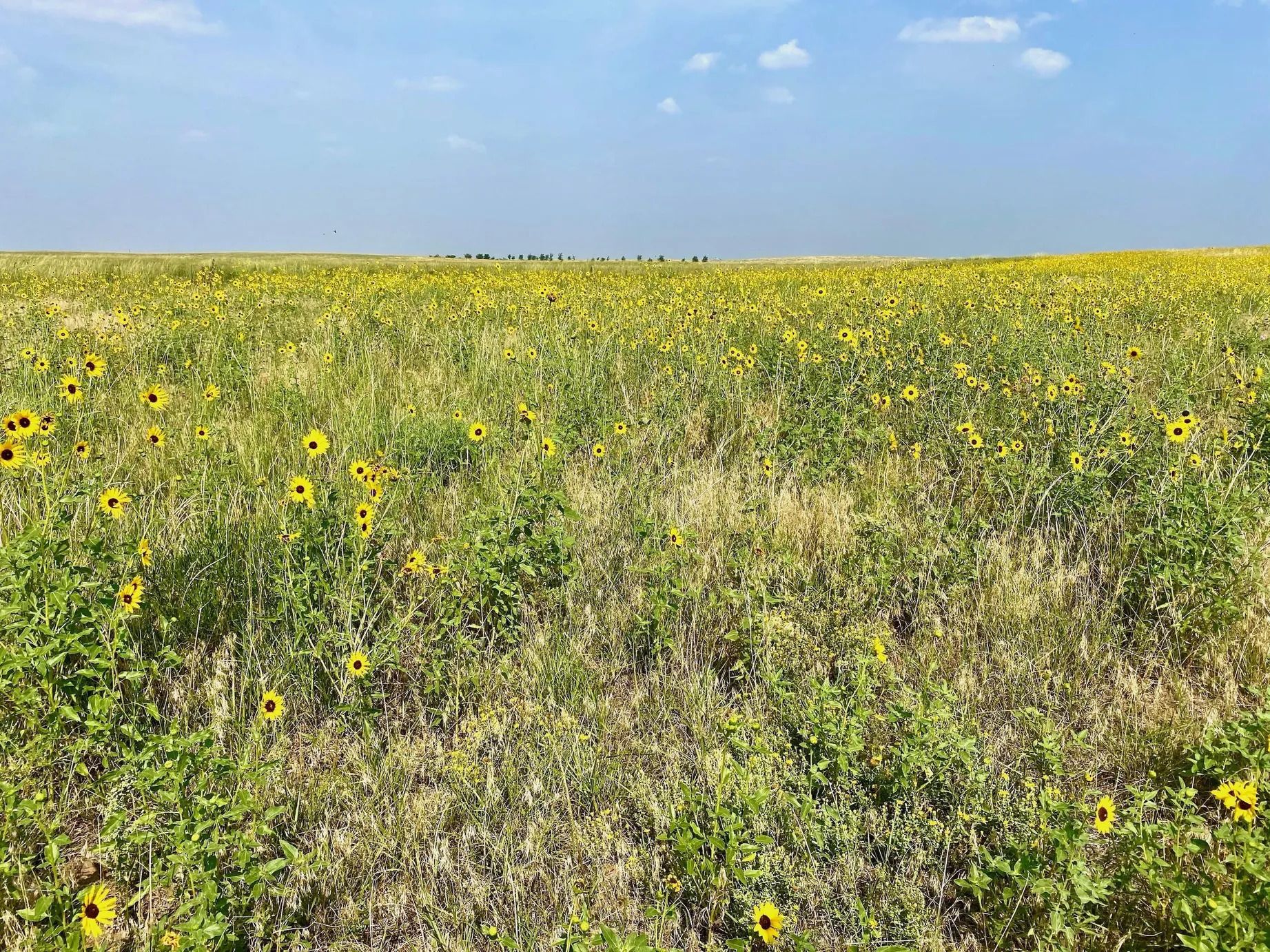 County Road HH, Vona, CO 80861 | LandWatch