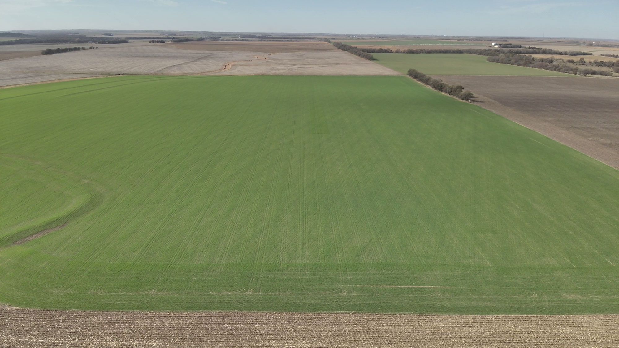 417.49 acres in Clyde, KS, 66901 | LandWatch
