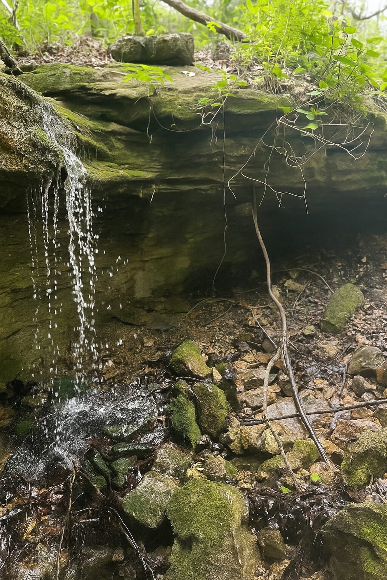000 State Hwy Z, Falcon, MO 65470 | LandWatch