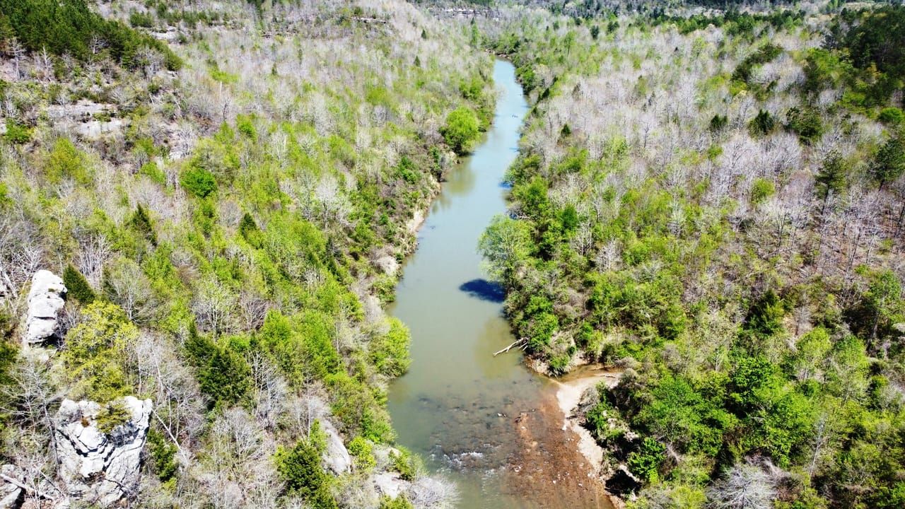 65400 State Route 172, Phil Campbell, AL 35581 | LandWatch
