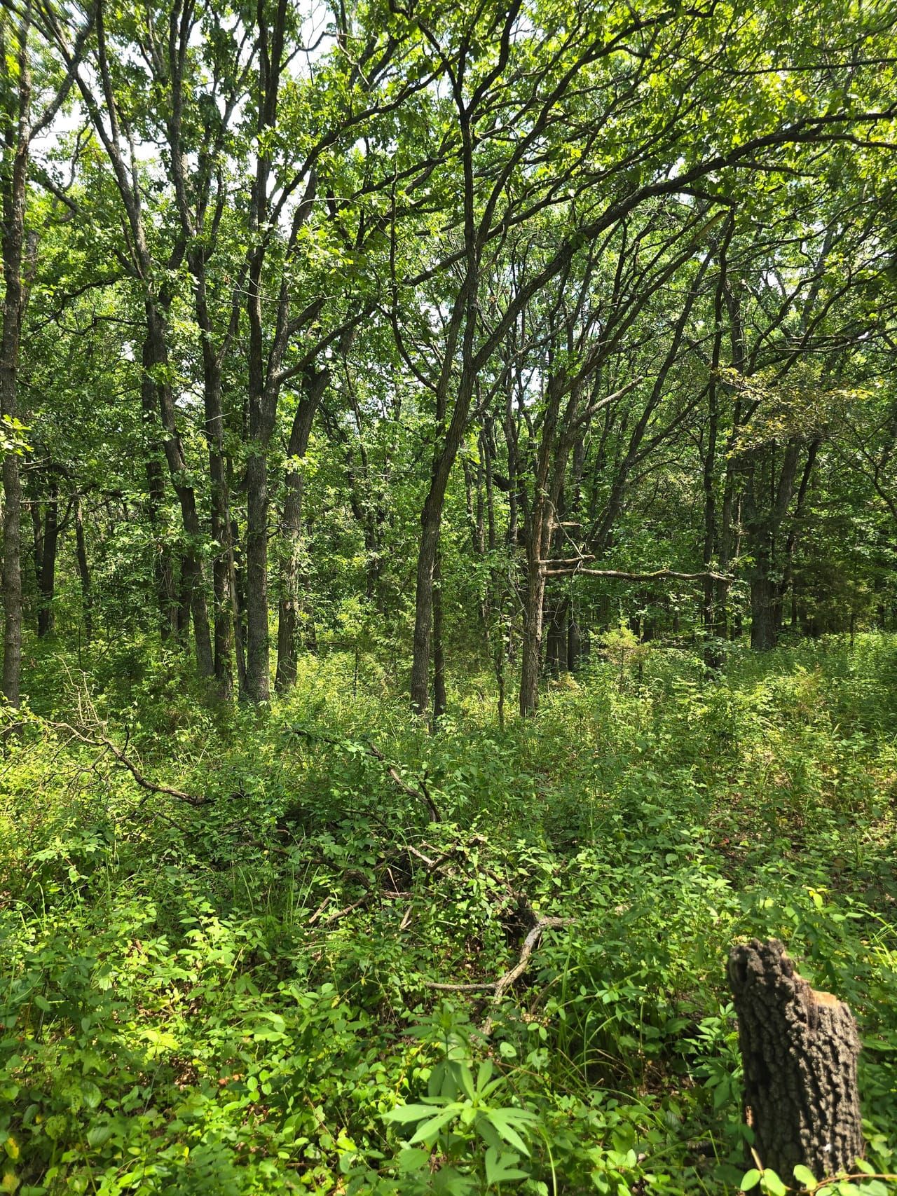 0 Ottaw Rd, Neodesha, KS 66757 | LandWatch