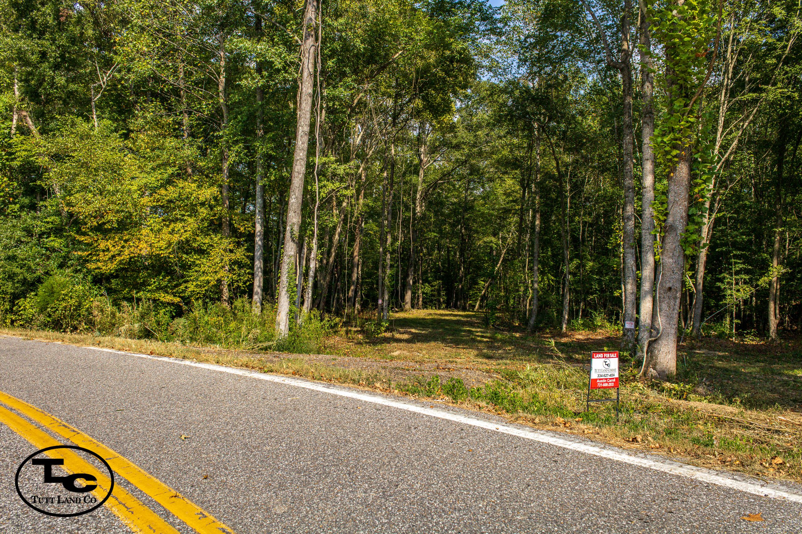 3385 Tennessee 125, Henderson, TN 38340 | LandWatch