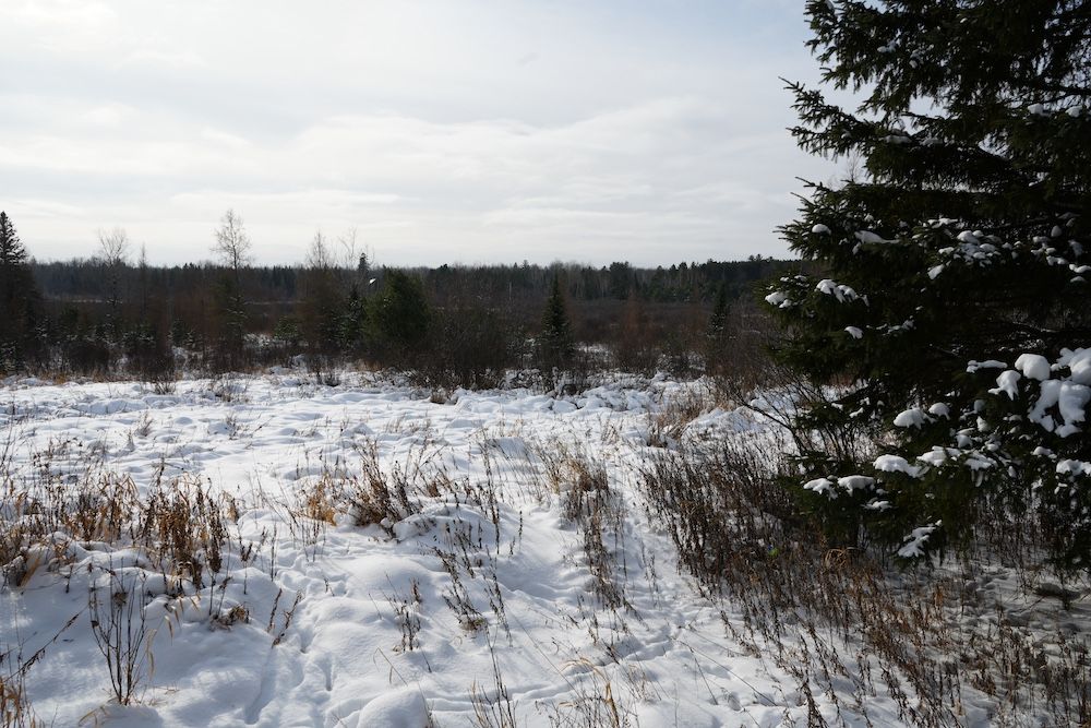 River Road, Brantwood, WI 54513 | LandWatch