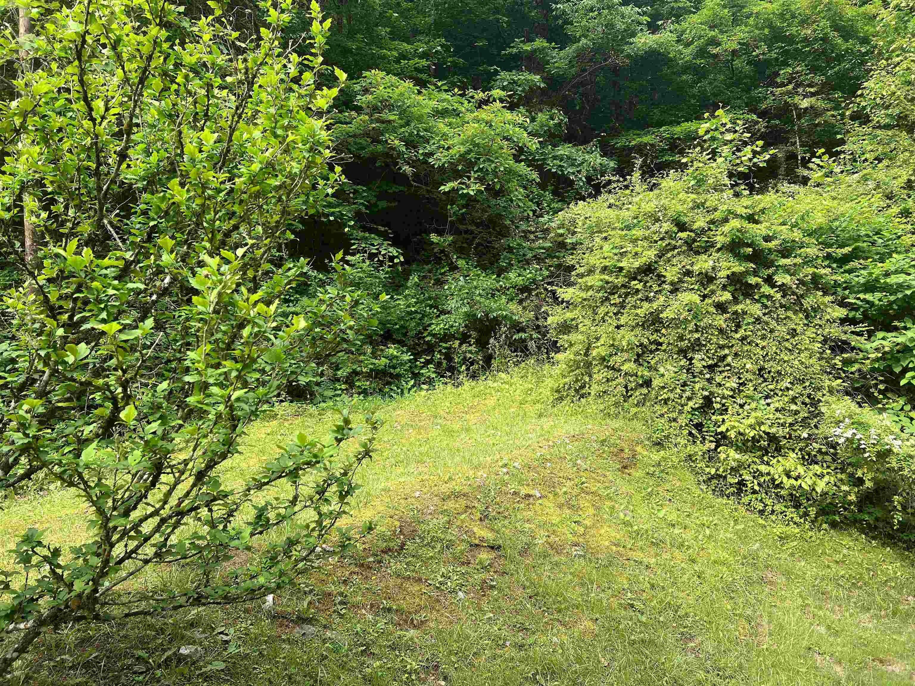 6798 Little Sandy Road, Elkview, WV 25071 | MLS: 180163 | LandWatch