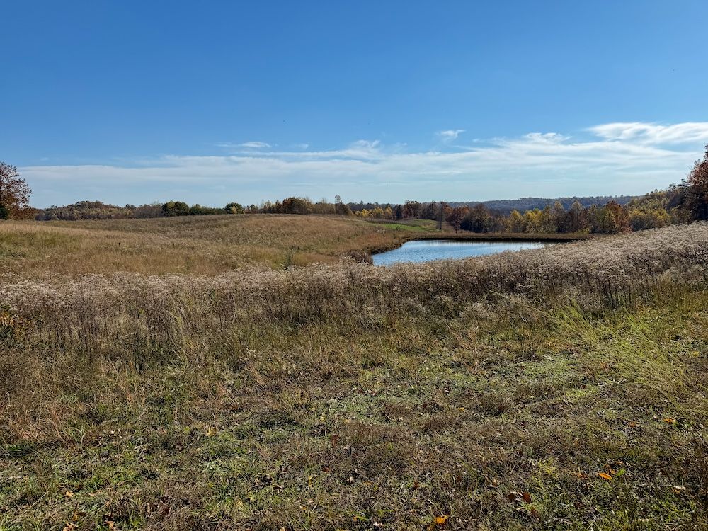 0 Buckner Hollow, Lot#WP001, Garrison, KY 41141 | MLS: 2431 | LandWatch