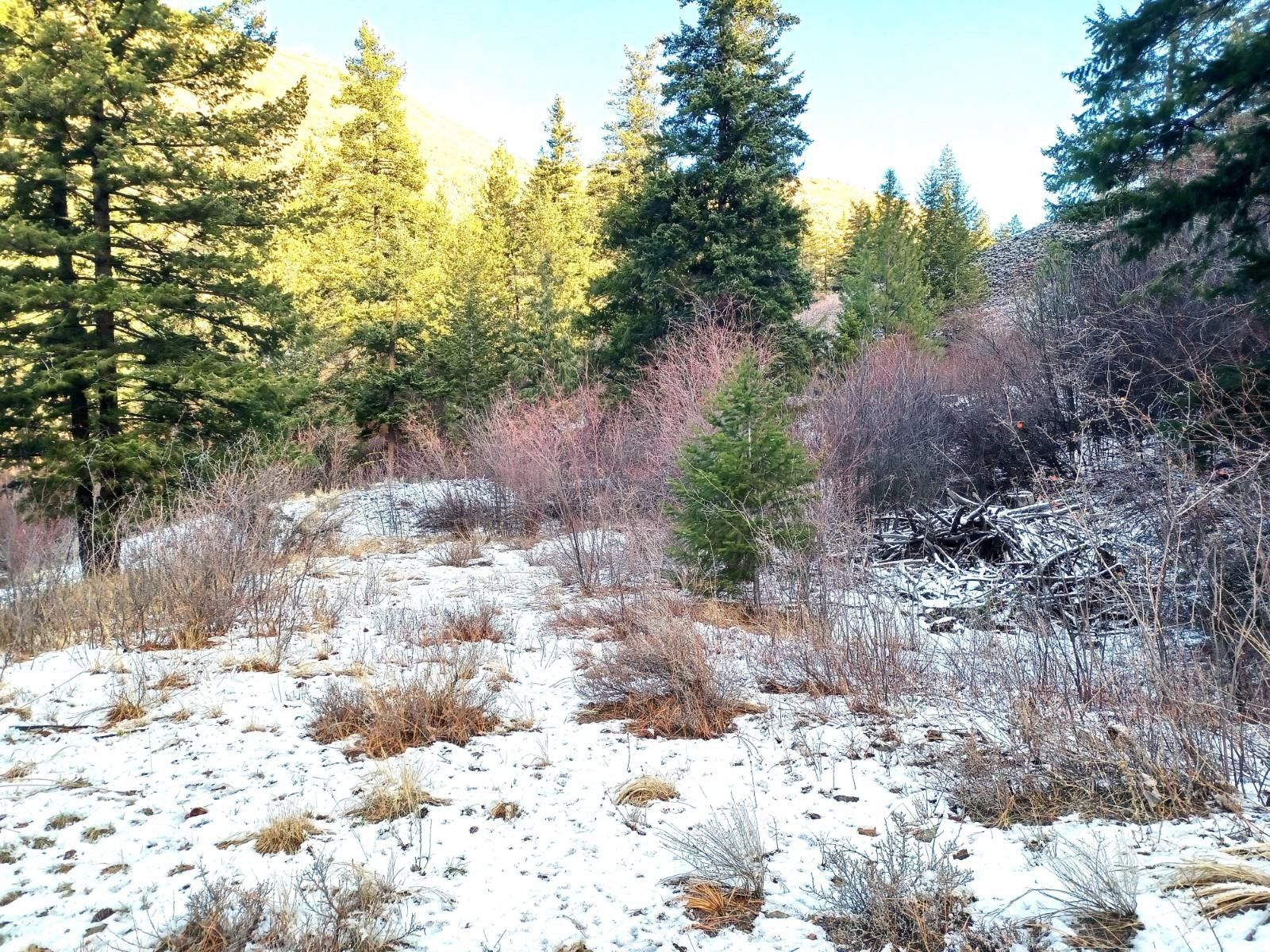 NNA Road 2 NW, Waterville, WA 98858 | MLS: 11622512 | LandWatch