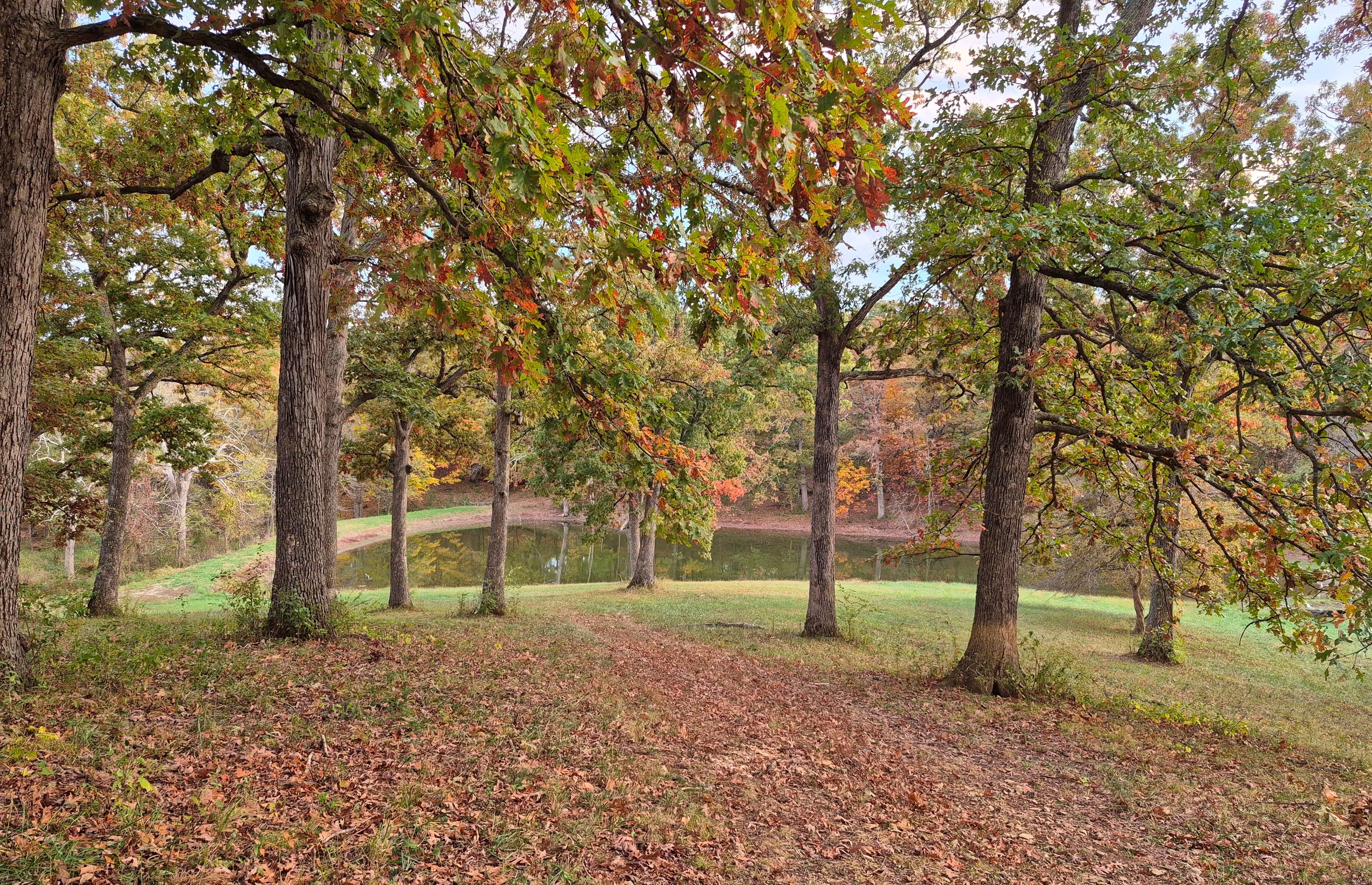 State Highway D (15+/- Ac) Tract 11, Eolia, MO 63344 | MLS: 25080783 ...
