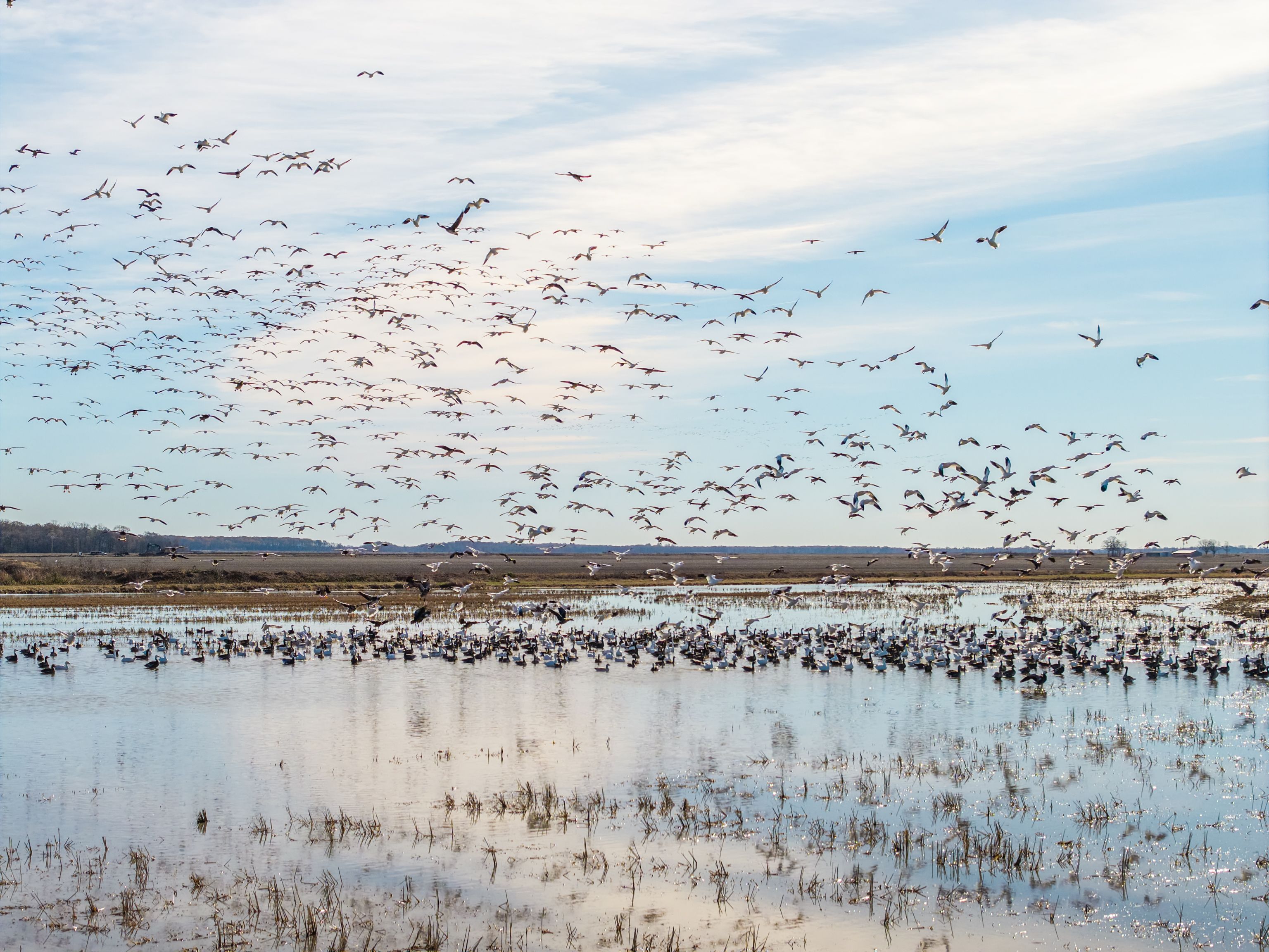 Mopac Road, Brinkley, AR 72021 | LandWatch