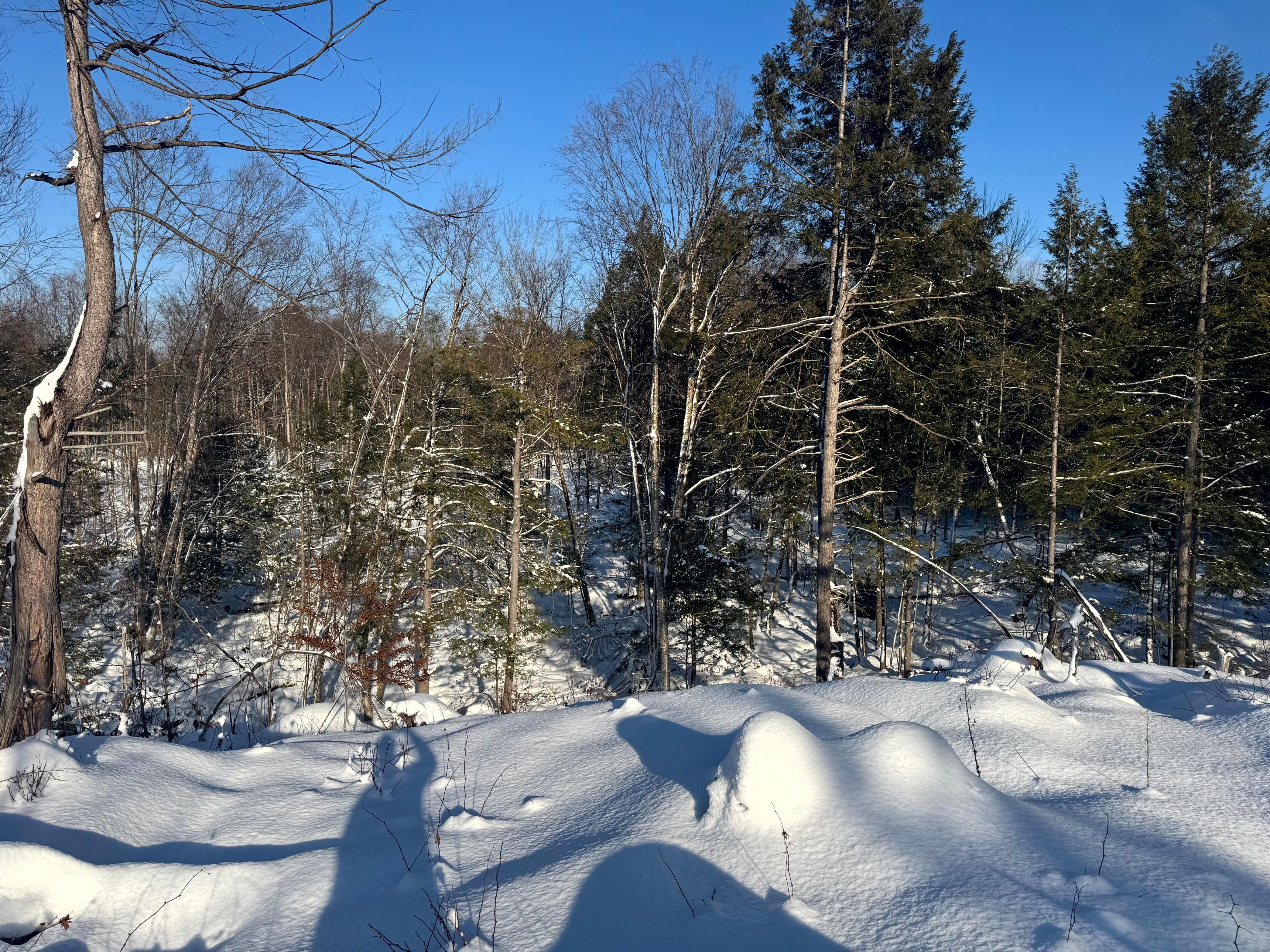 Rowell Road, Camden, NY 13316 | MLS: 11623141 | LandWatch