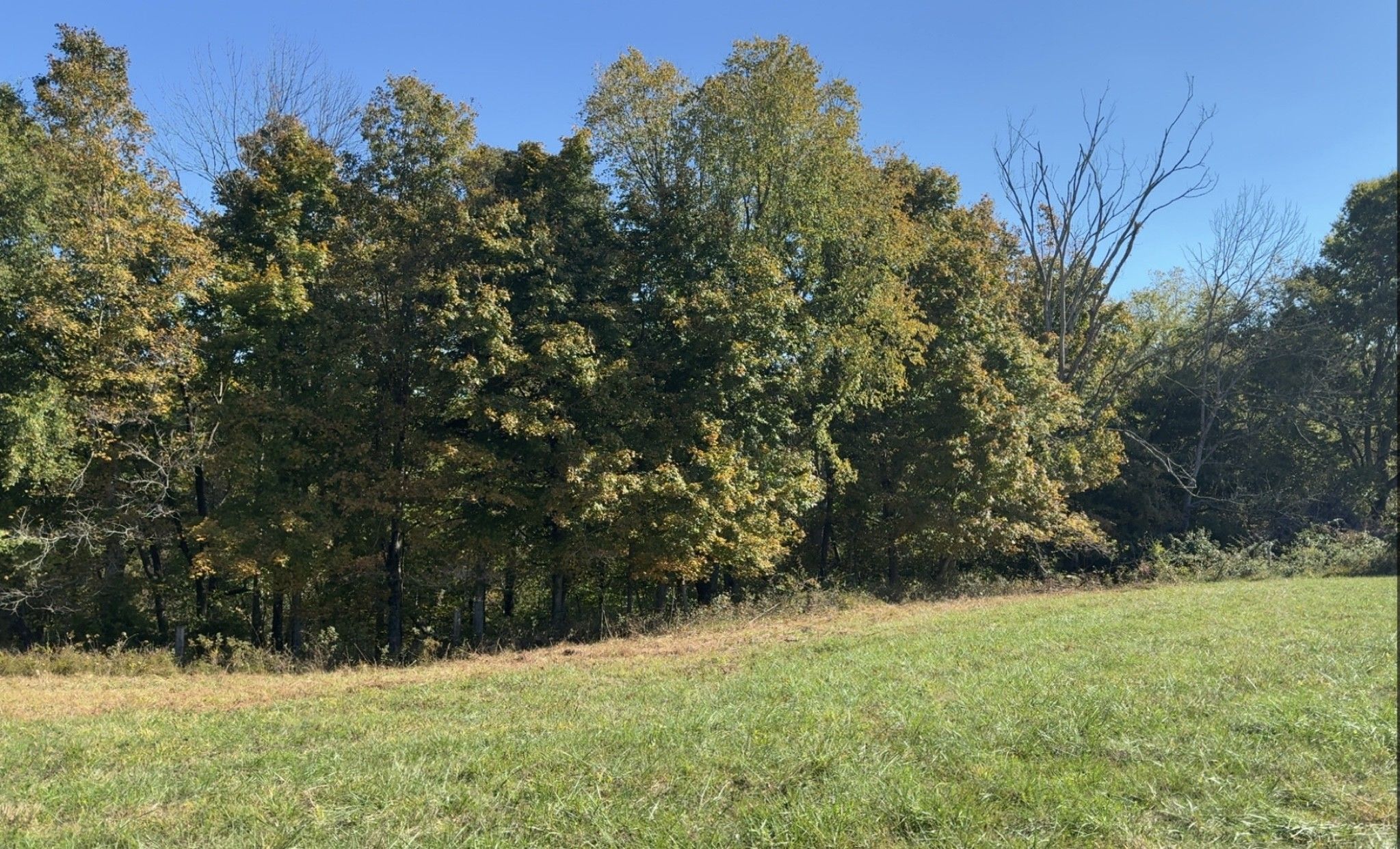 Preston Sullivan Road, Columbia, KY 42728 | LandWatch