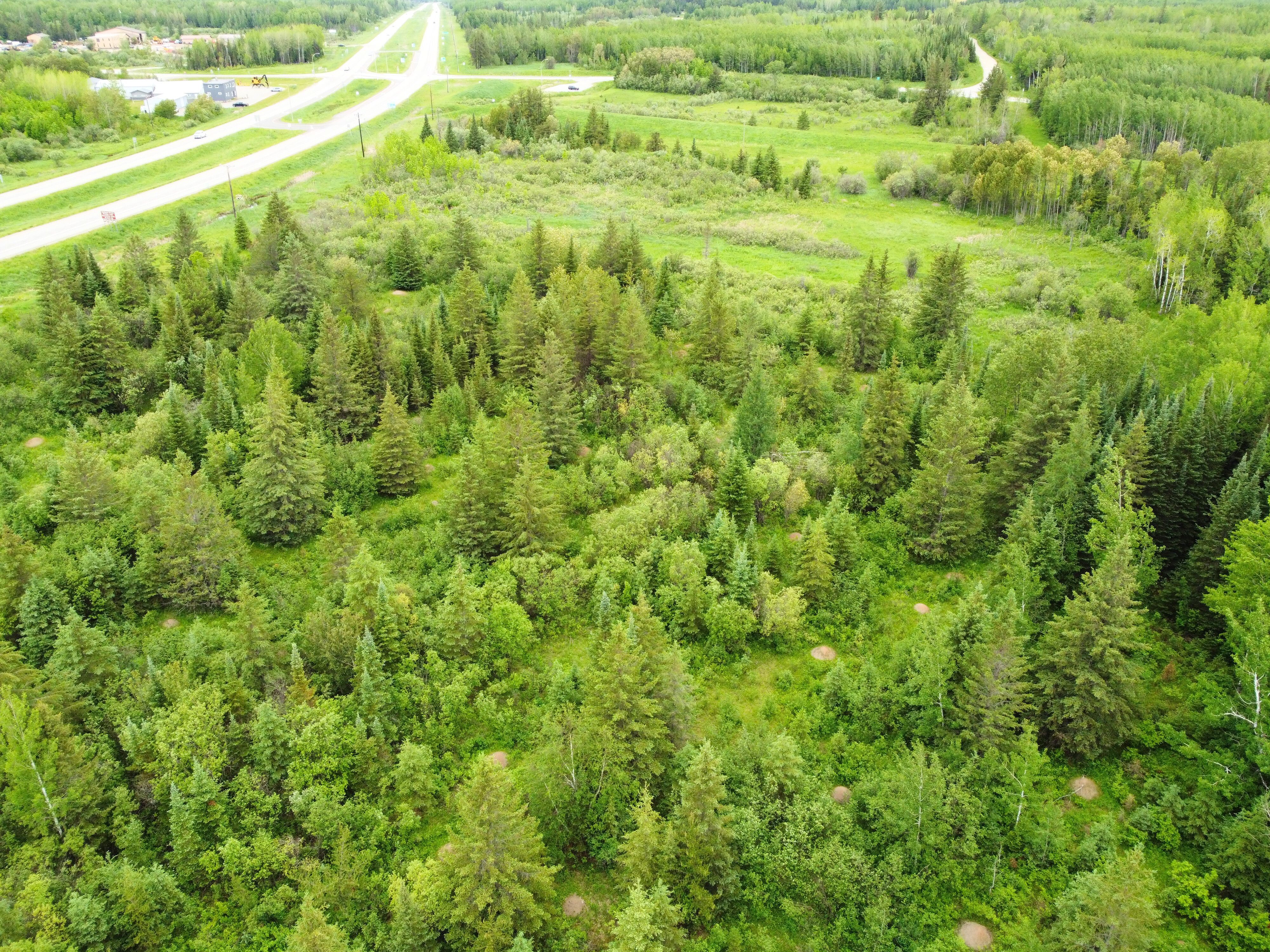US-53, Angora, MN 55703 | MLS: 215001001332 | LandWatch
