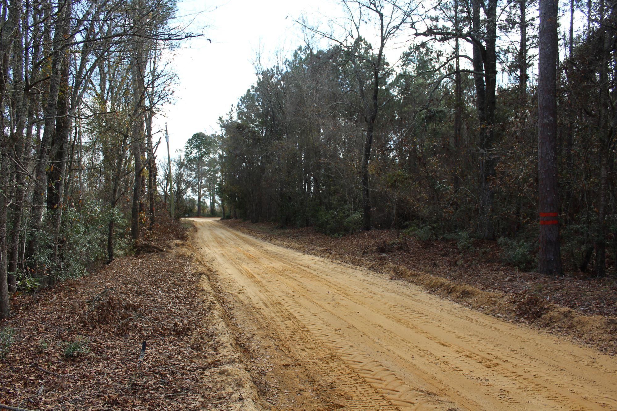 Sandridge Road, Scranton, SC 29591 | MLS: 0022603021 | LandWatch