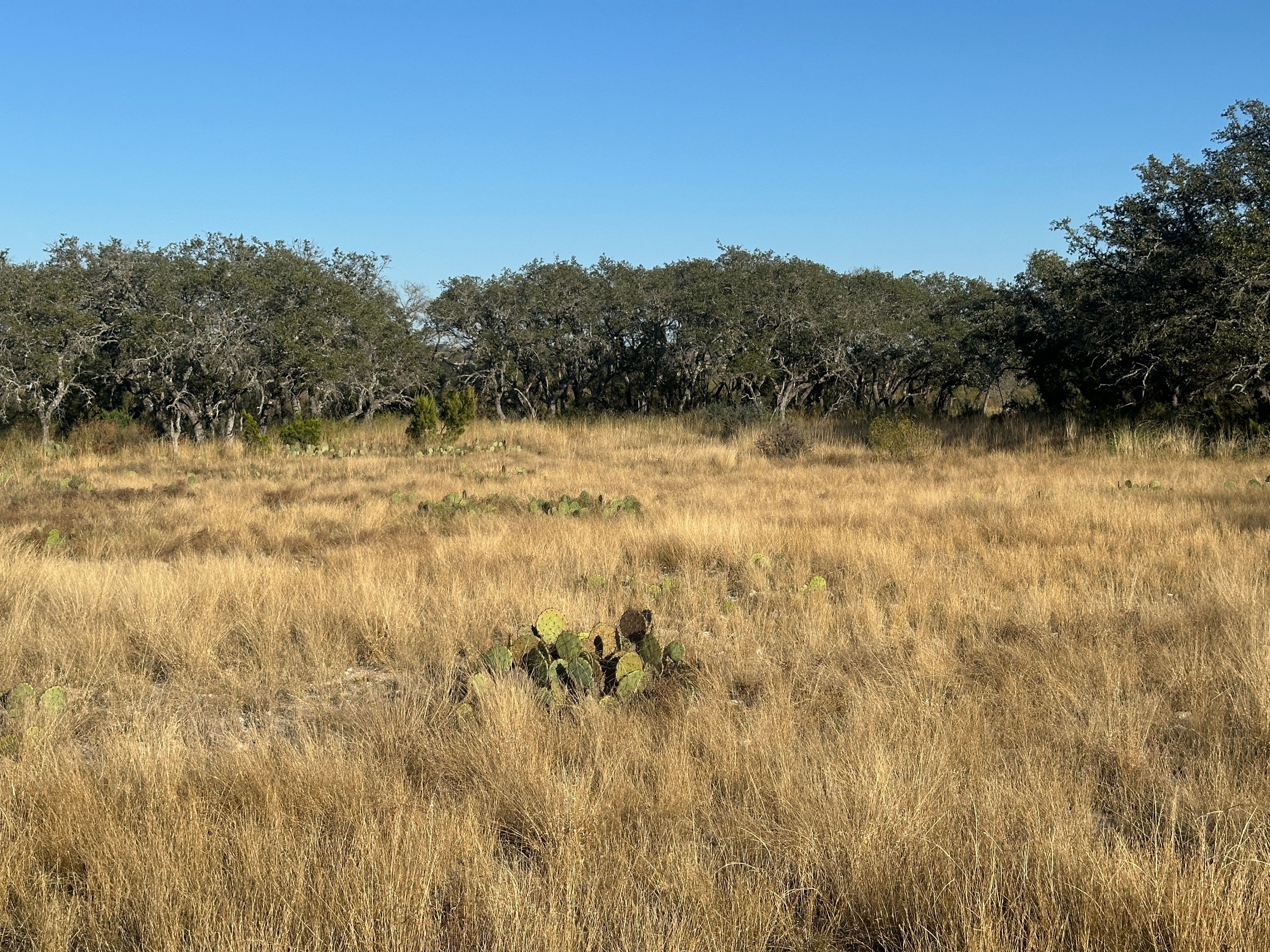 4783 Sutton County Road 406, Sonora, TX 76950 | LandWatch