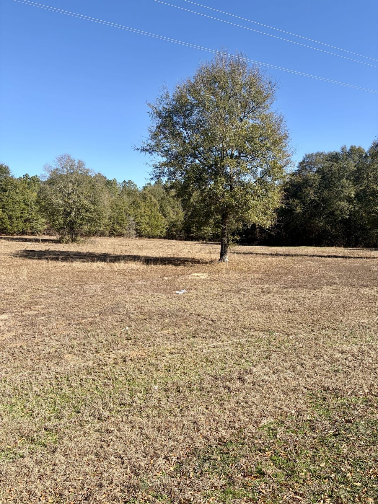 Monterey Road, Forest Home, AL 36030 | LandWatch