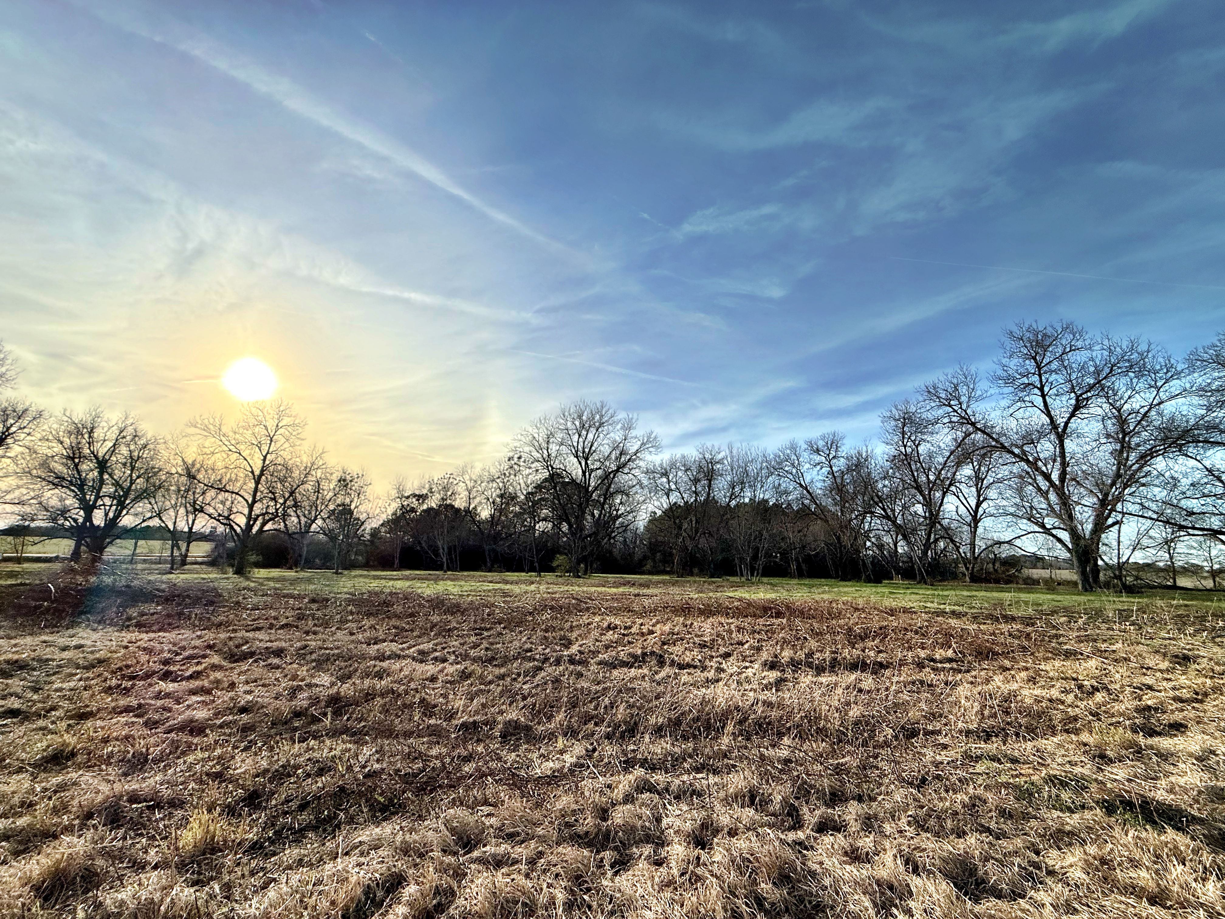 3 North County Line Road, Elko, GA 31025 | MLS: 10650856 | LandWatch