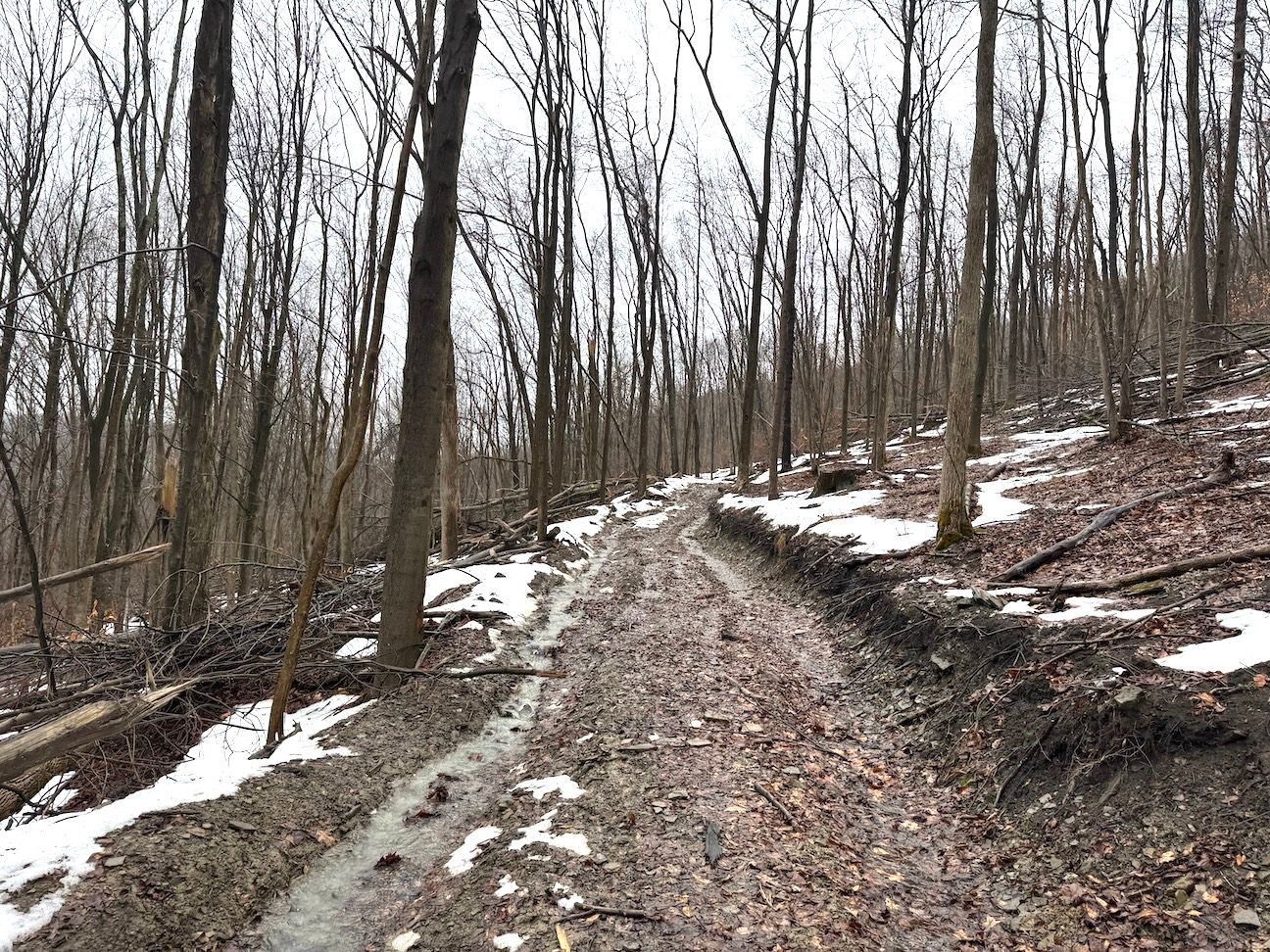 NY-16, Hinsdale, NY 14743 | LandWatch