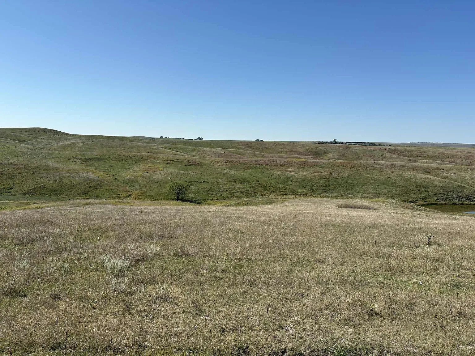 Burtz Rd, Winner, SD 57580 | LandWatch