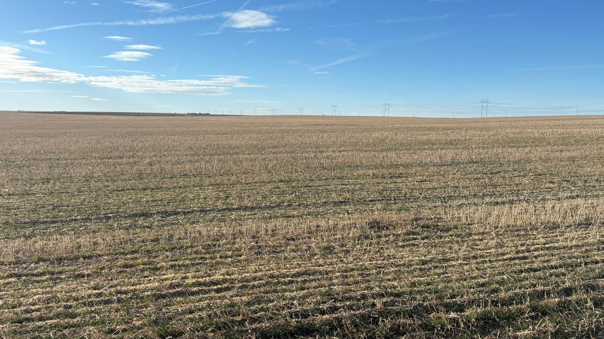985 acres in Otis, CO, 80743 | MLS: Platner North Land Auction | LandWatch
