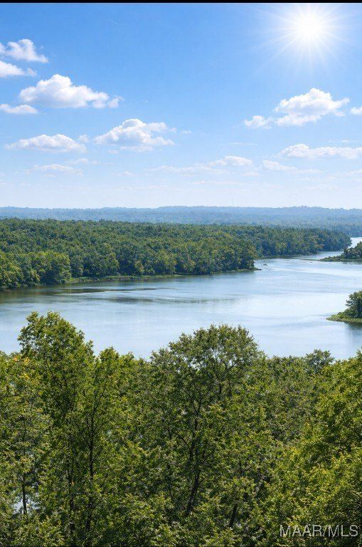 3 Prairie Bluff Drive, Catherine, AL 36728 | MLS: 582778 | LandWatch