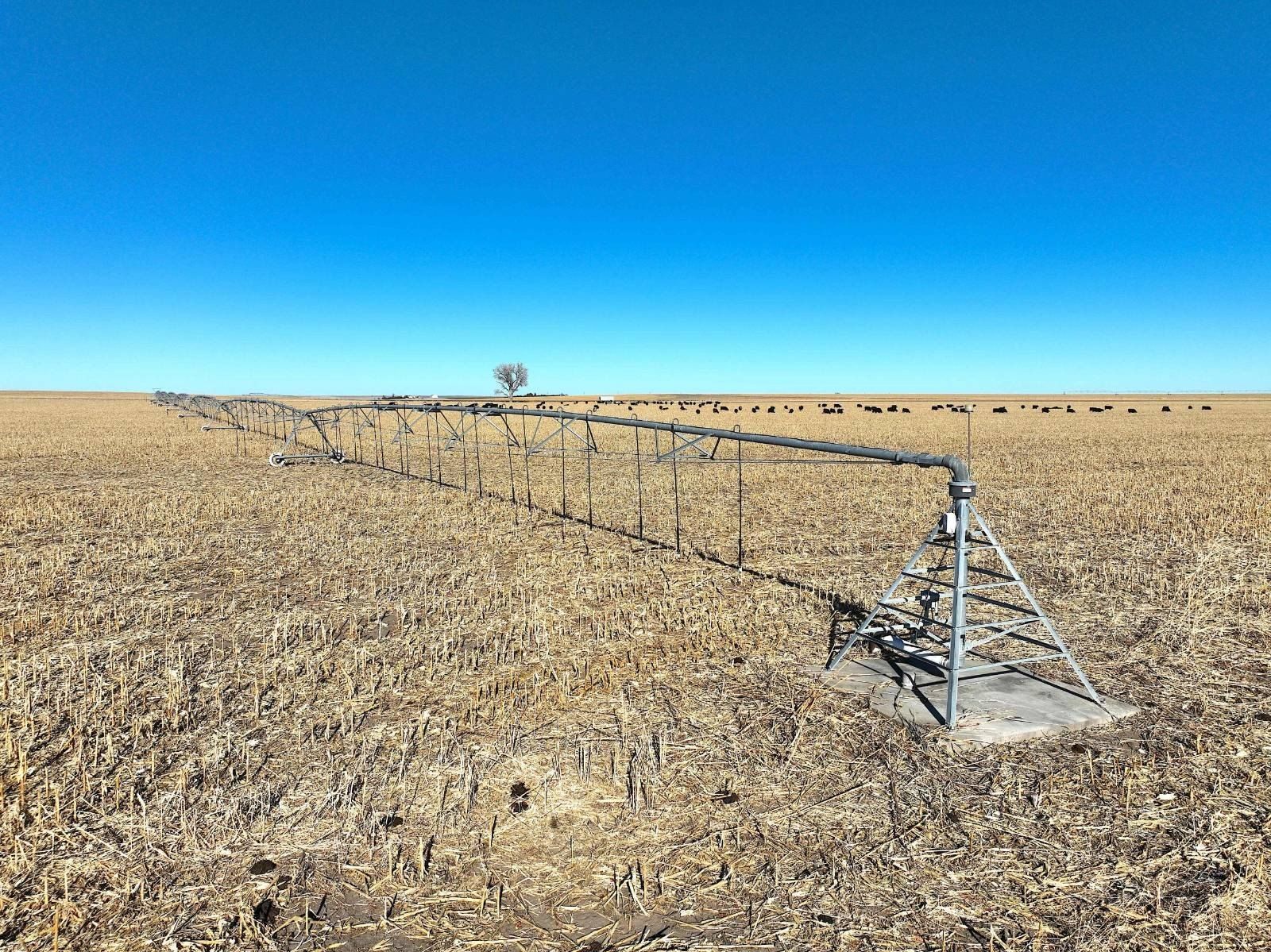 000 County Road, Quinter, KS 67752 | MLS: 11631122 | LandWatch