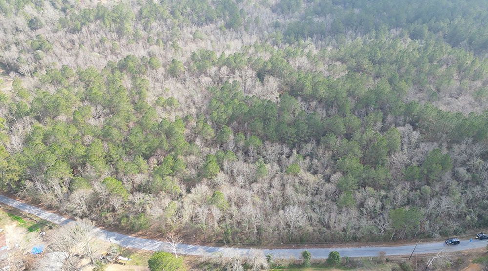 247 Mc Nair Springs Road, Magee, MS 39111 | LandWatch