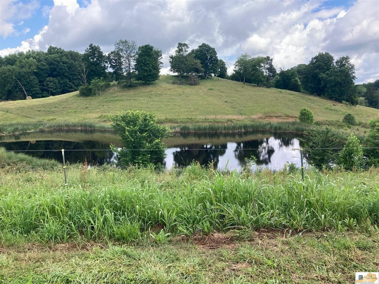 1997 Vernon Road, Hestand, KY 42151 | MLS: SC47663 | LandWatch
