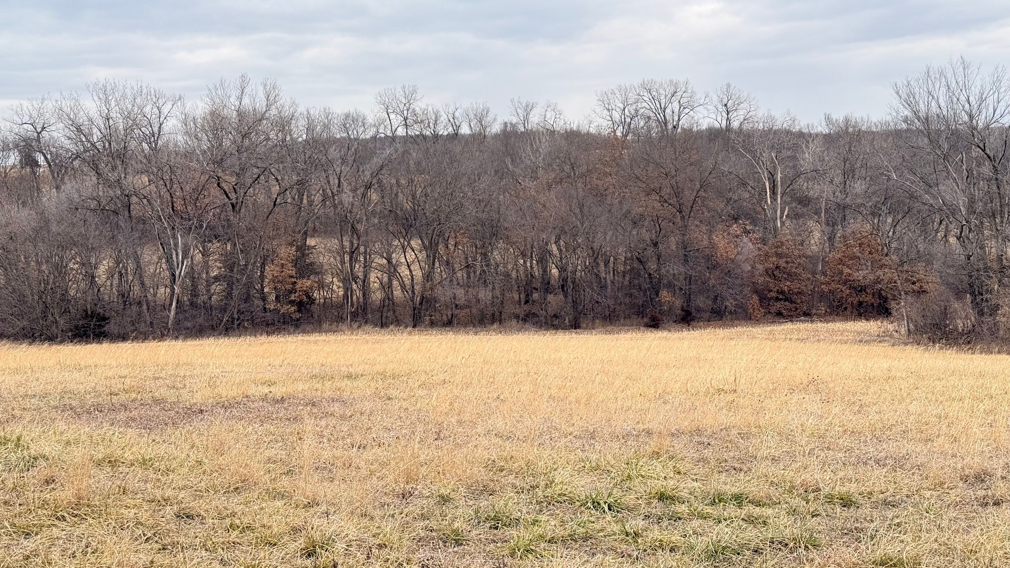 600 Road, Mcfall, MO 64657 | MLS: 24100-794400 | LandWatch