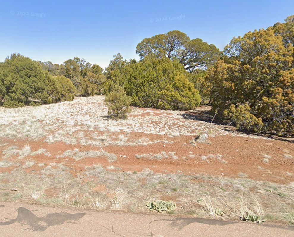 85 N3533, Concho, AZ 85924 | LandWatch