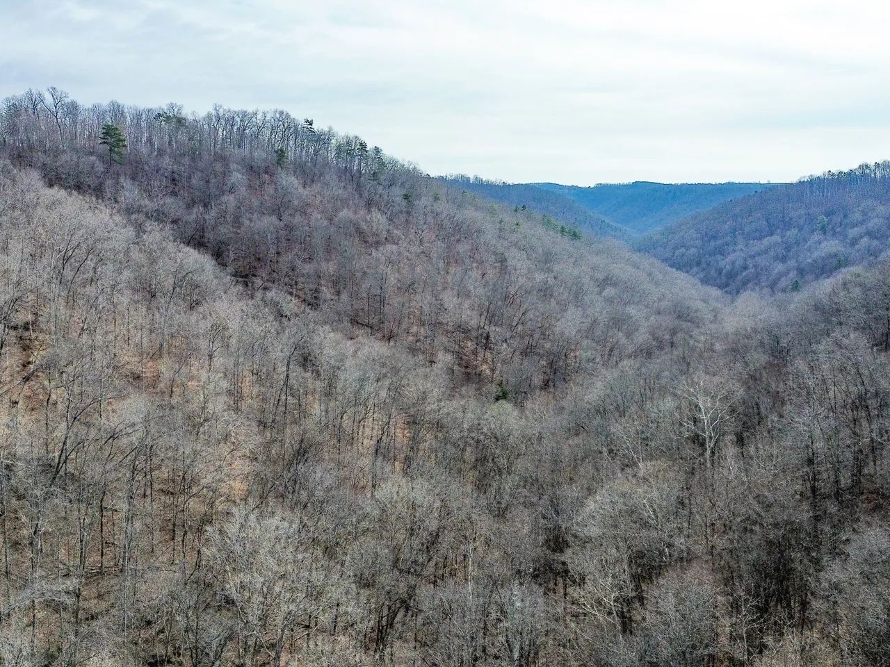 0 Powell Ridge Road, Speedwell, TN 37870 | LandWatch