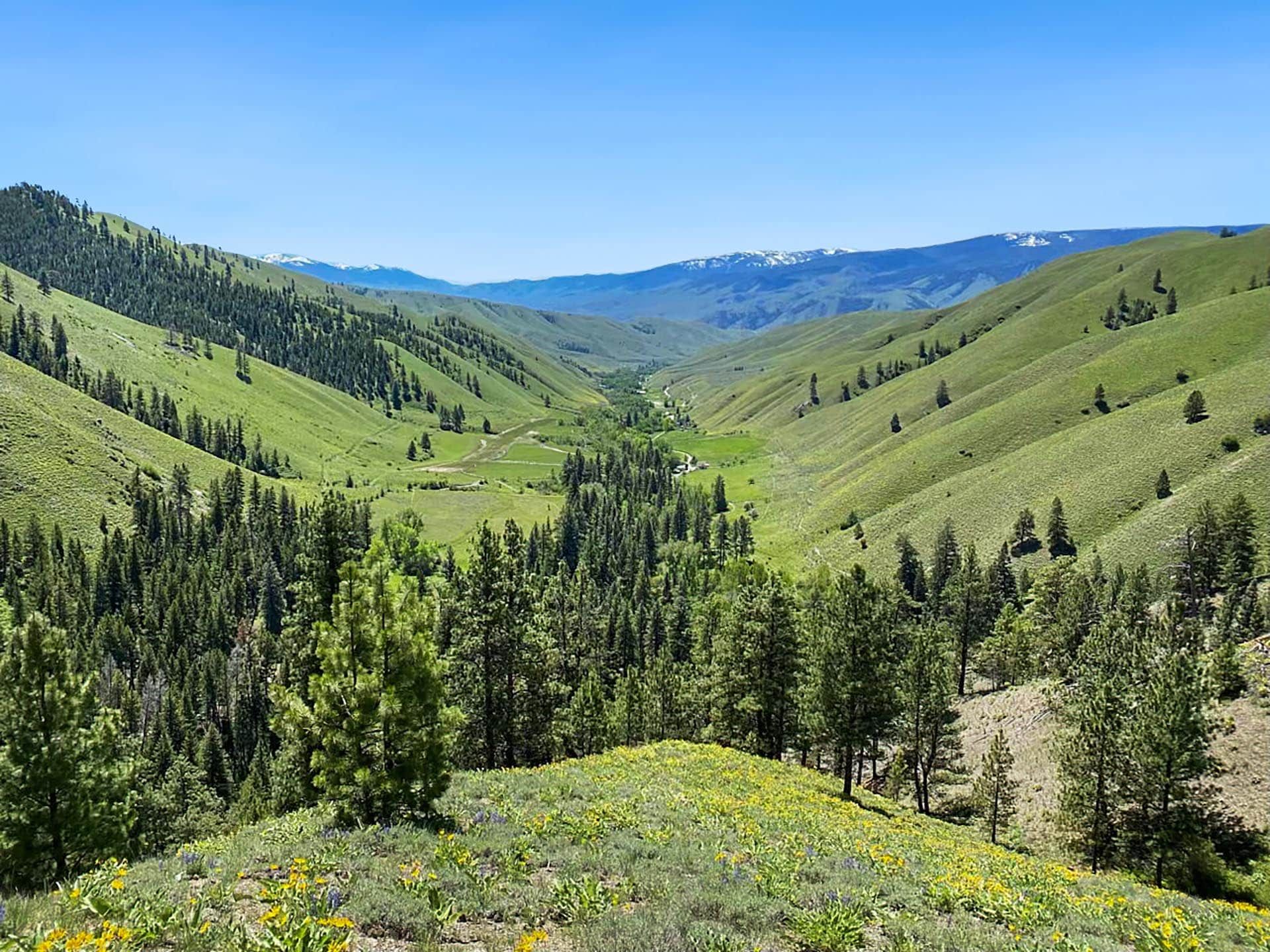387 North Tower Creek Road, Carmen, ID 83462 | LandWatch