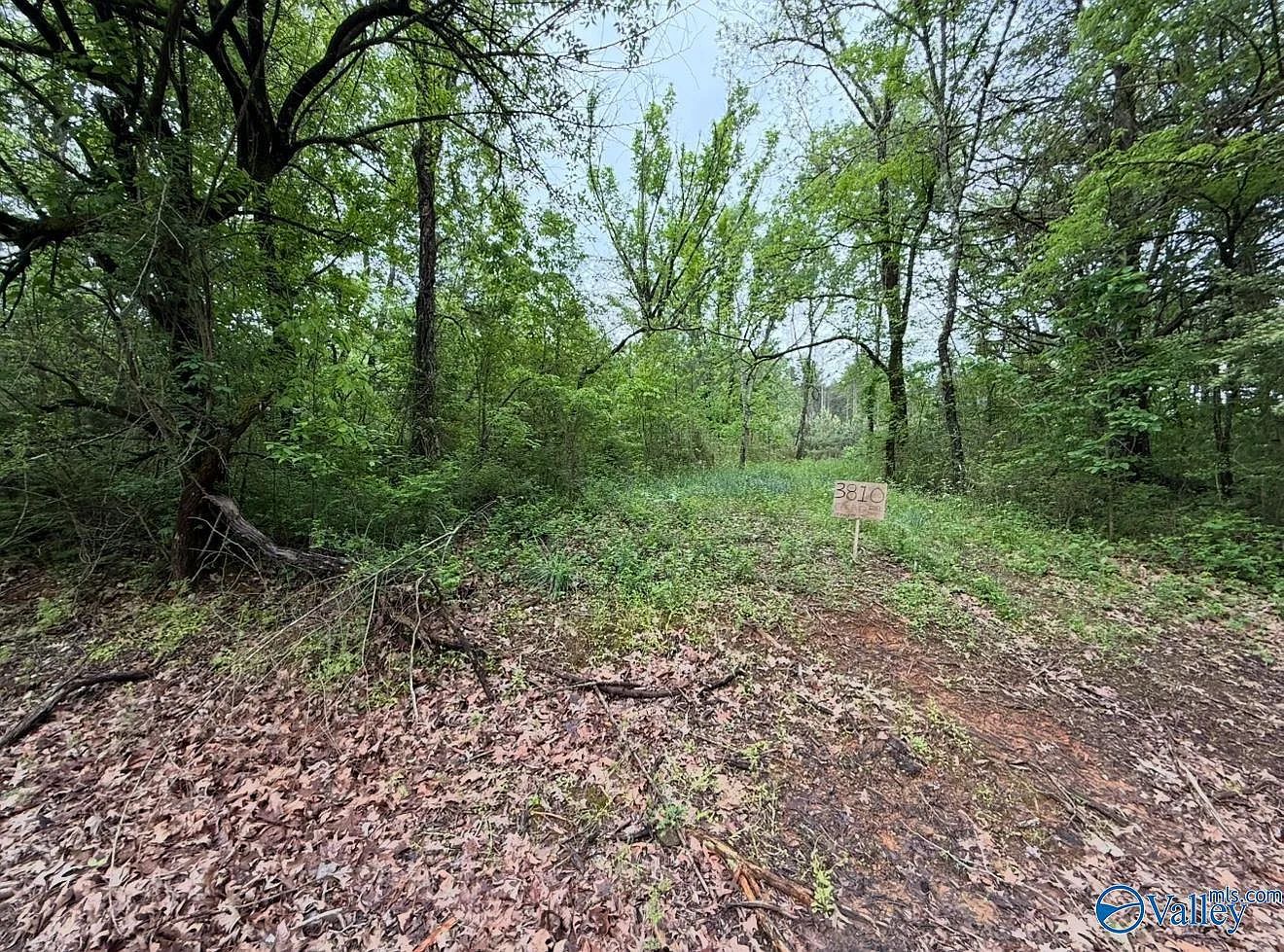 Lawrence County, Alabama | Just east of Youngtown on County Road 59 ...