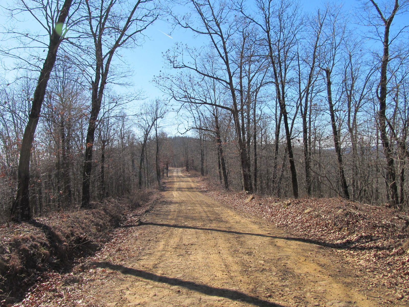 4795 Madison , Pettigrew, AR 72760 | LandWatch