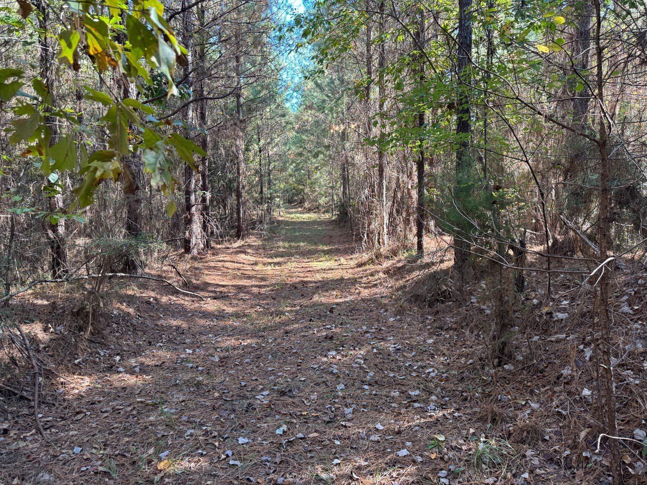 Smith County Road 18-5a, Bay Springs, MS 39422 | MLS: 11606122 | LandWatch