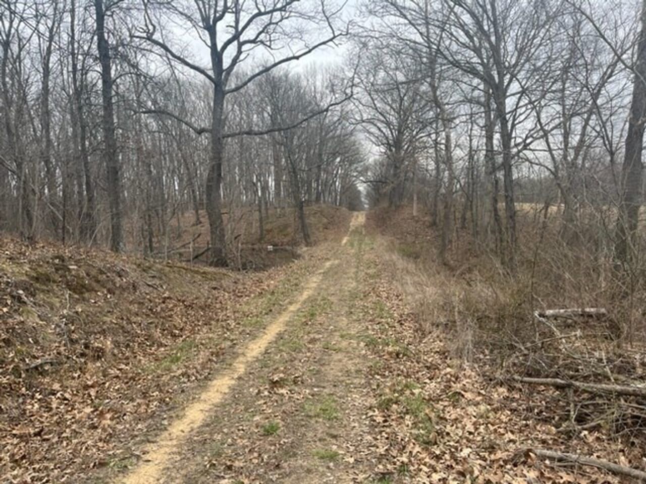 29 acres in Ramsey, IL, 62080 | LandWatch