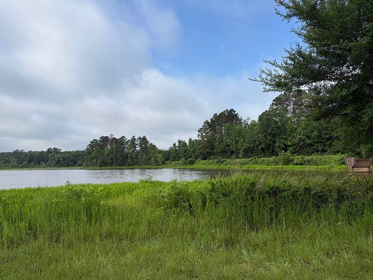 Lake Road, Duck Hill, MS 38925 | LandWatch