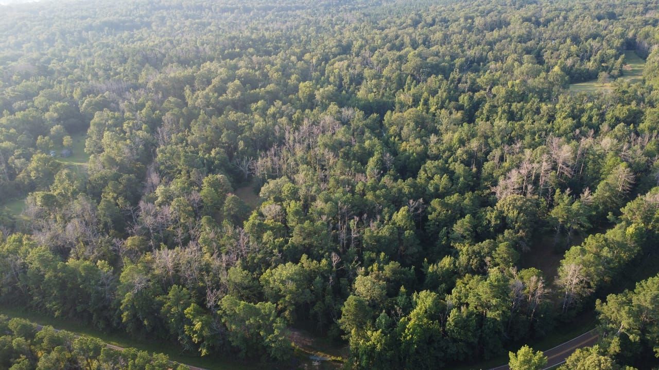 Sumrall Rd, Crystal Springs, MS 39059 | LandWatch
