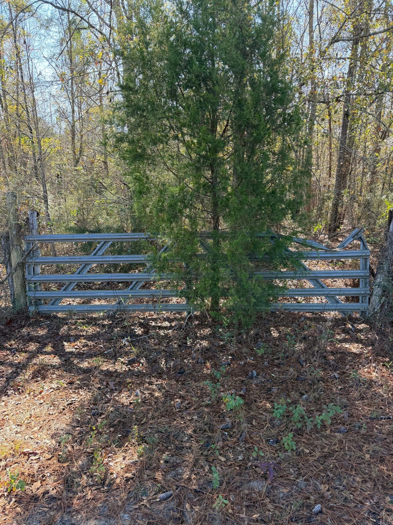 Bowden Rd, Honoraville, AL 36042 | LandWatch