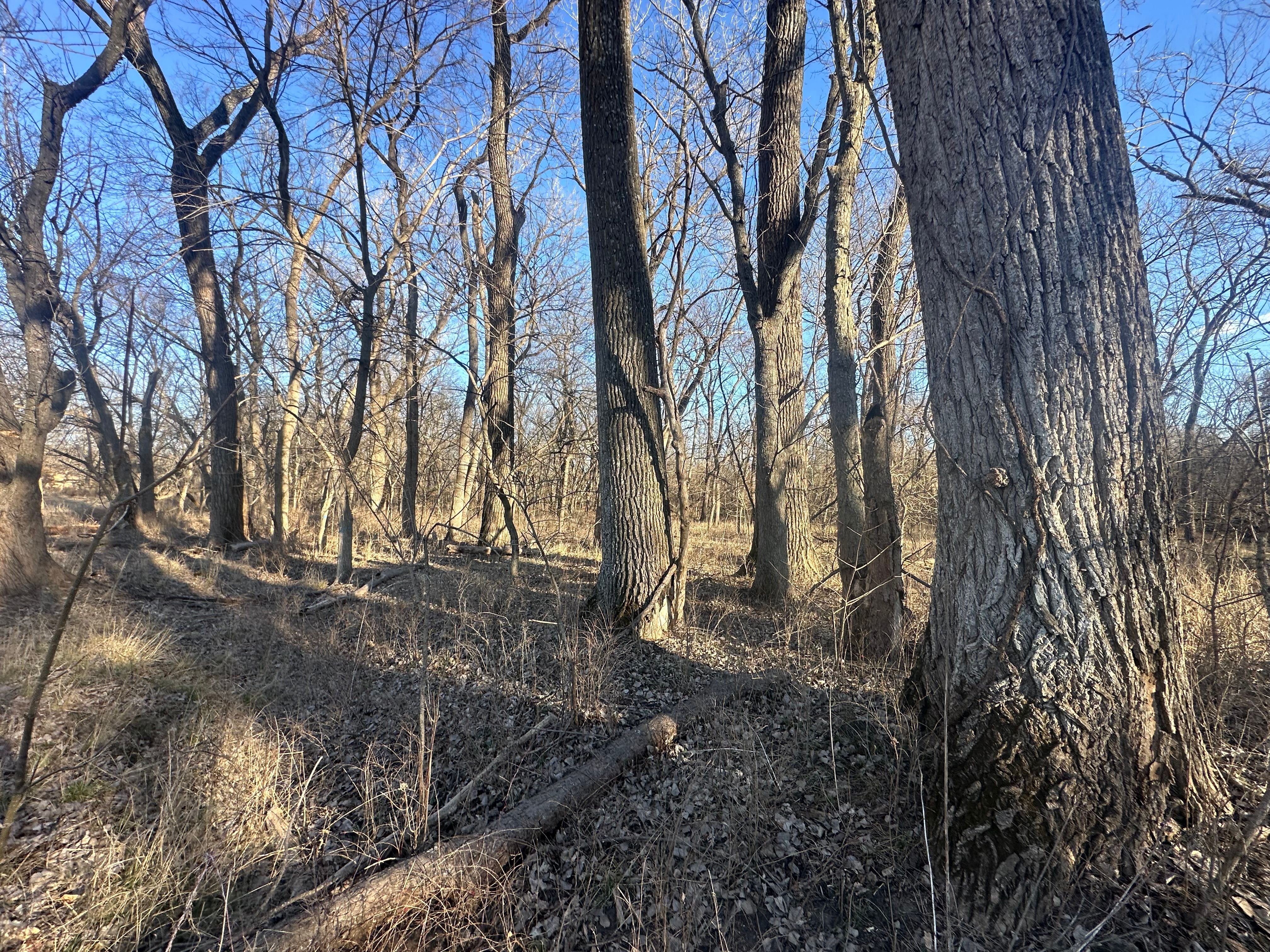 00000 J Rd , Circleville, KS 66416 | LandWatch