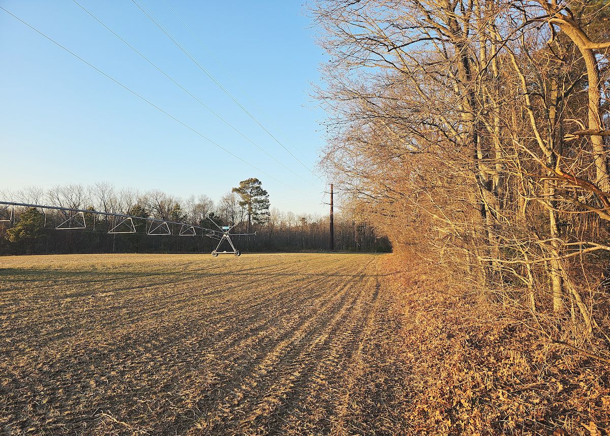 000 Bobtown Rd, Hurlock, MD 21643 | LandWatch