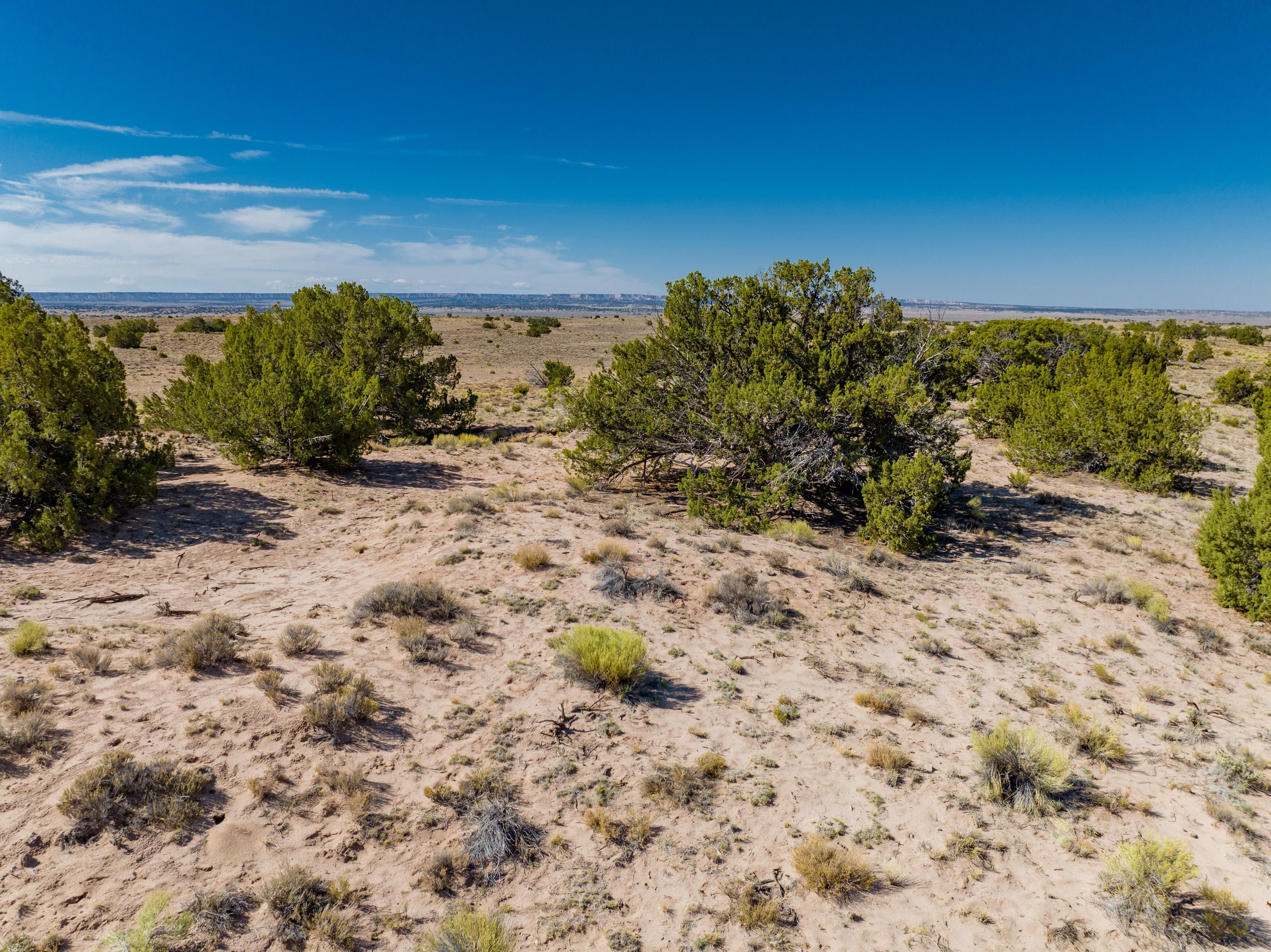 n7372 U.S. Highway 191, Sanders, AZ 86512 | LandWatch