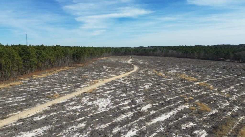 25.1 acres in Pelion, SC, 29123 | LandWatch