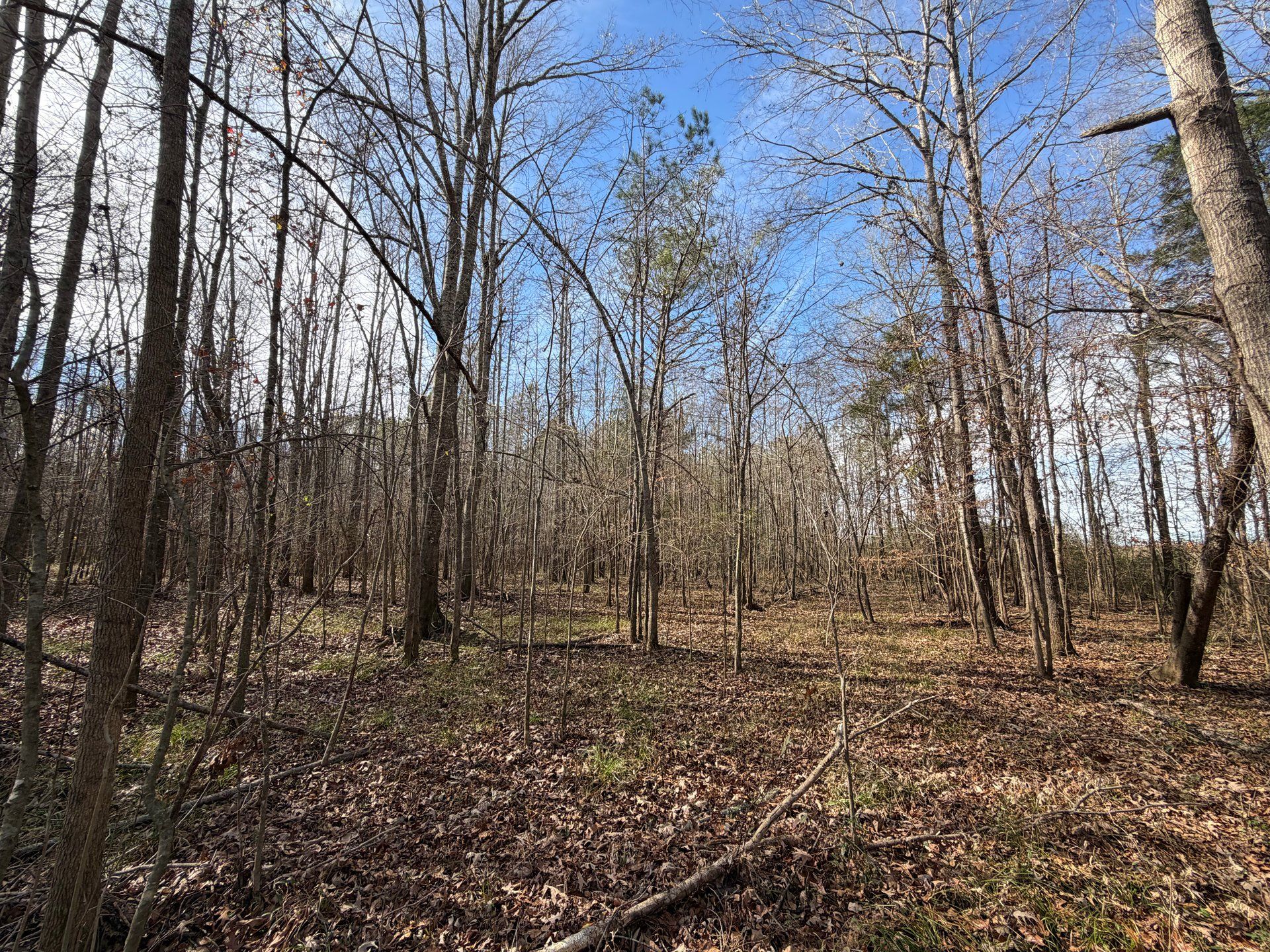 Highway 31, Letohatchee, AL 36047 | LandWatch