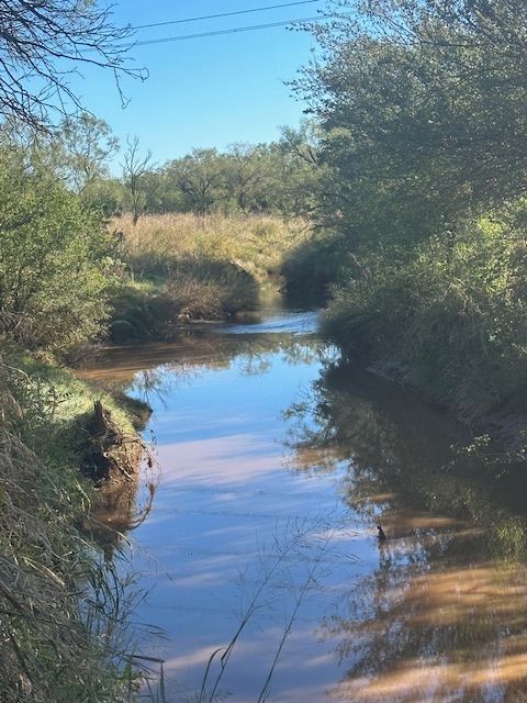 16000 Cr 490, Merkel, TX 79536 | LandWatch