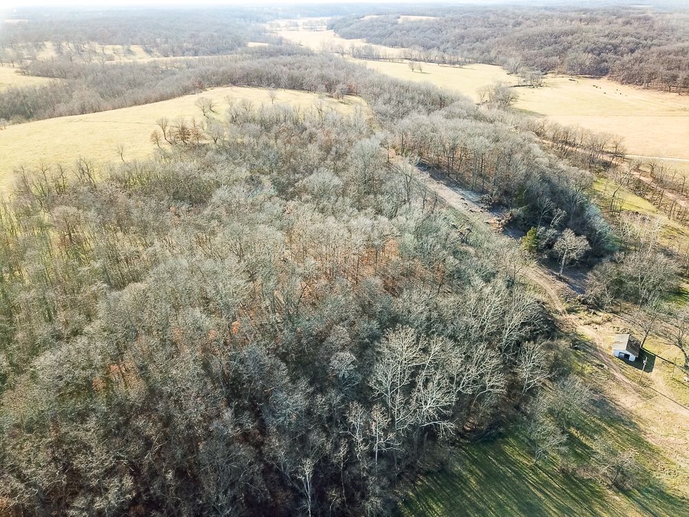 14655 Condor Drive, Seneca, MO 64865 | MLS: Newton 15.2 | LandWatch