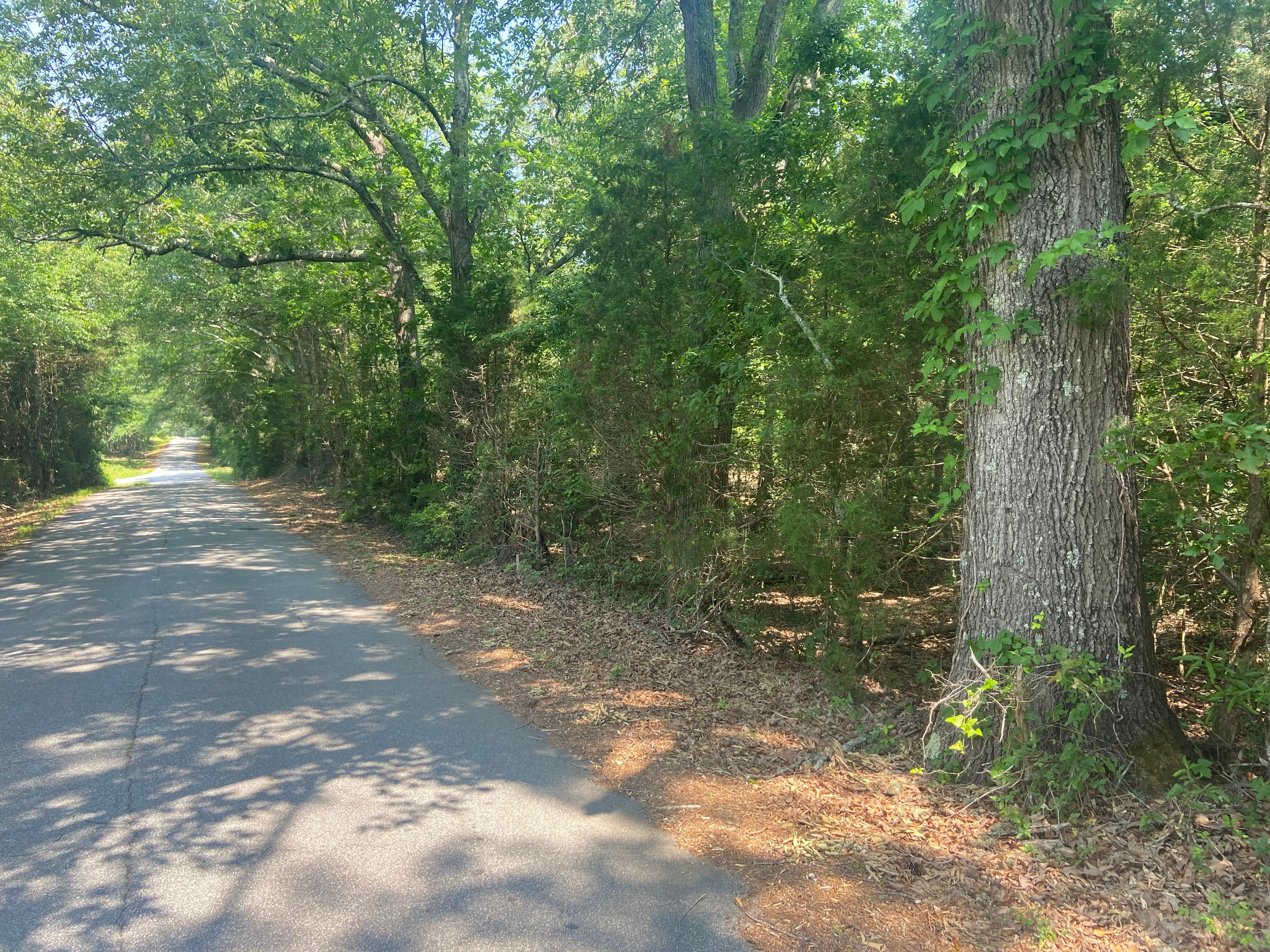 Terry Shop Rd, Fountain Inn, SC 29644 | MLS: 364617 | LandWatch