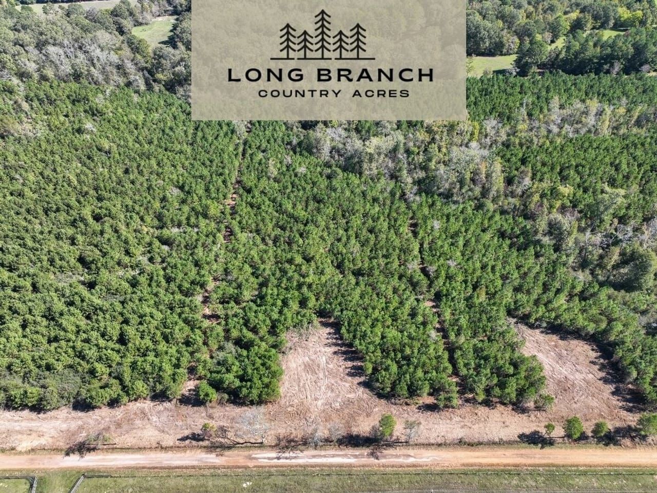 CR 3121, Long Branch, TX 75669 | LandWatch