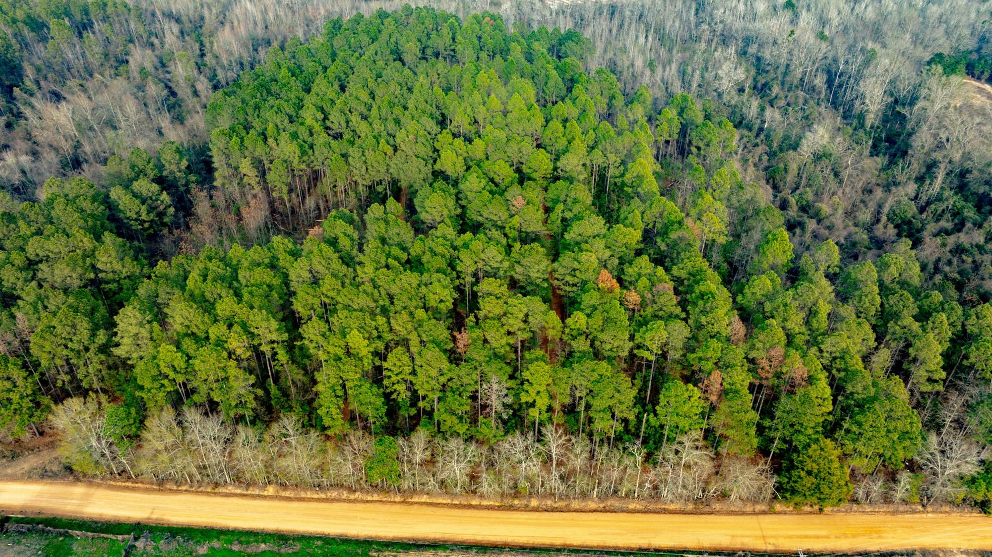 Harmony Church Road, Milan, GA 31060 | LandWatch