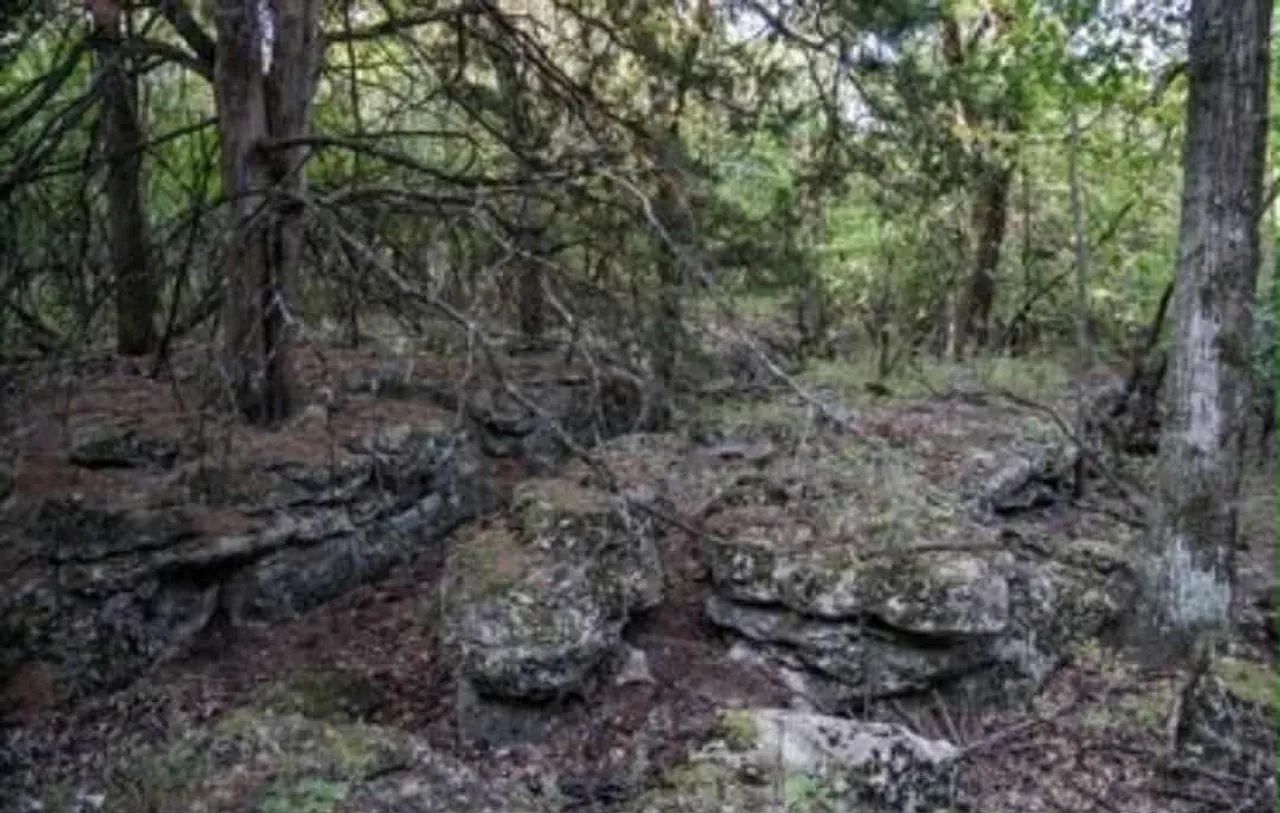 Meade Road, Neodesha, KS 66757 | LandWatch