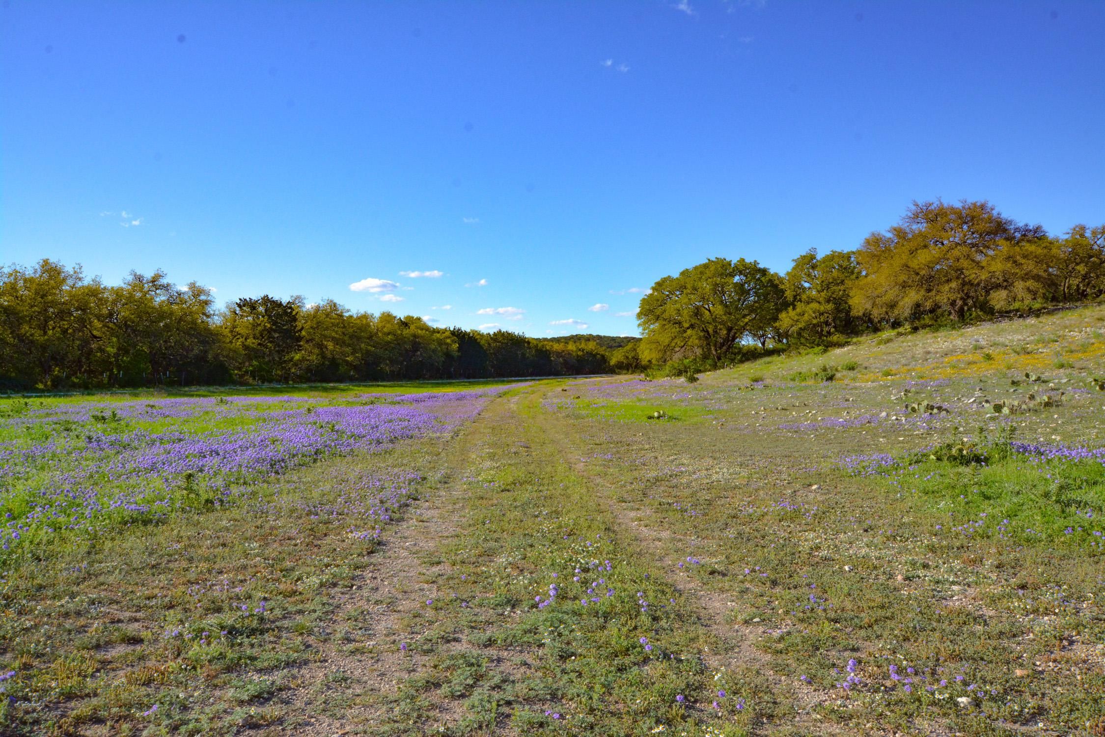 482 Wingert Rd, Segovia, TX 76849 | LandWatch