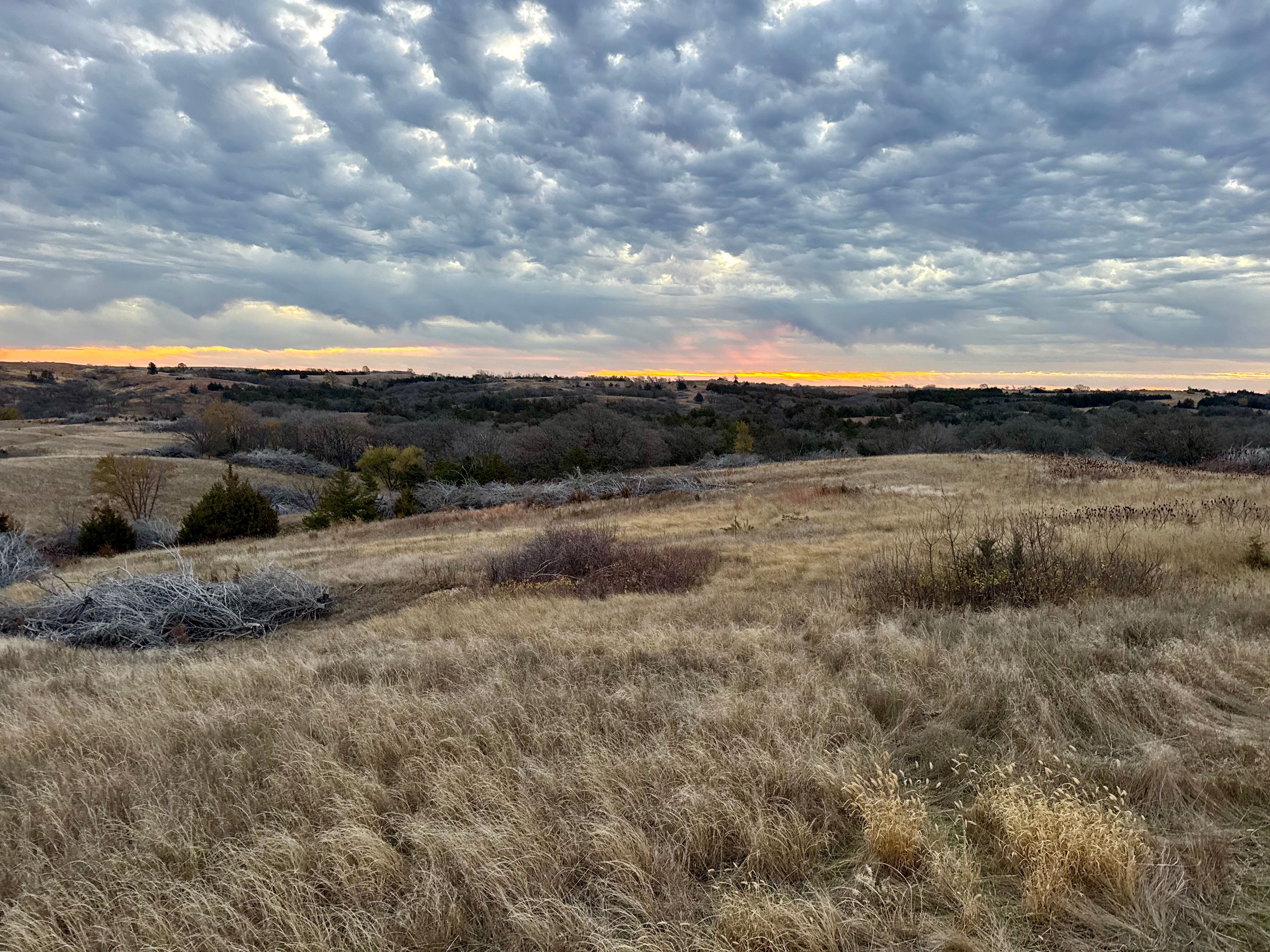 514th Avenue, Verdel, NE 68760 | MLS: R20261092A | LandWatch
